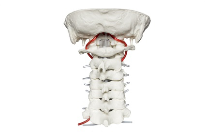 Bandscheibenvorfall an der HWS: Symptome und Behandlung